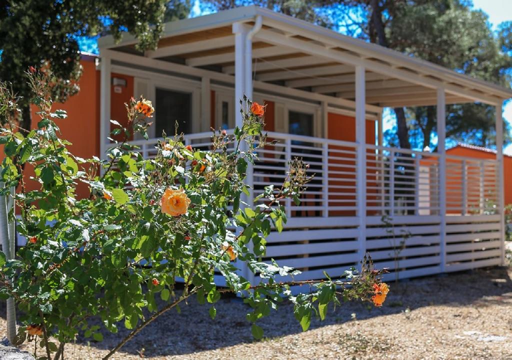 Biograd, kamp Park Soline 4* | Oratours Osijek